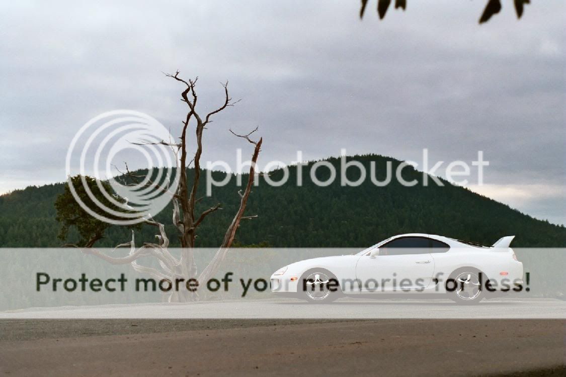 Post your favorite pic of your car | Page 4 | Supra Forums